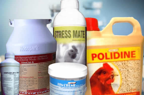 Intergrated Agro Allied Poultry Services Ltd.