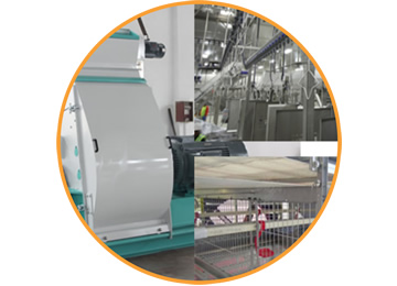 Intergrated Agro Allied Poultry Services Ltd.