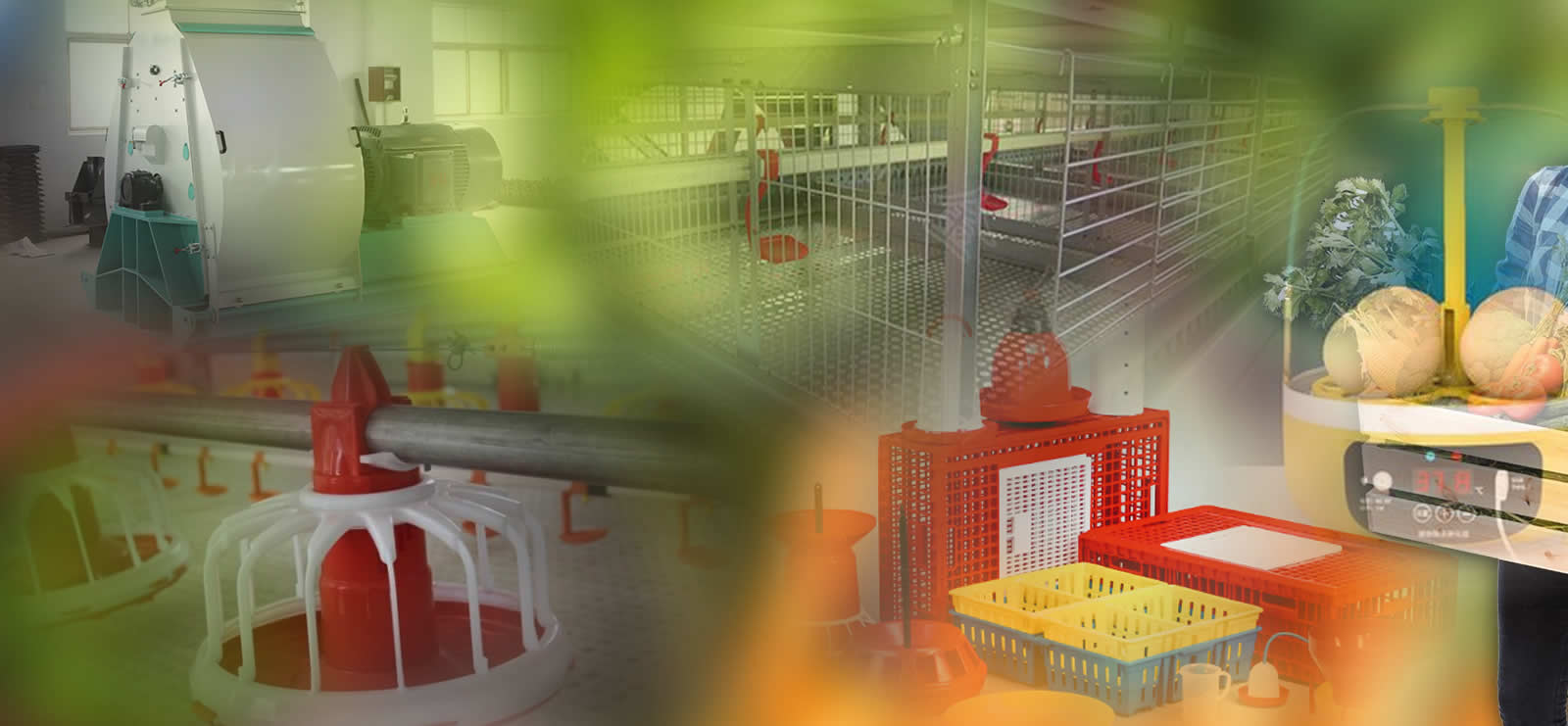 Intergrated Agro Allied Poultry Services Ltd.